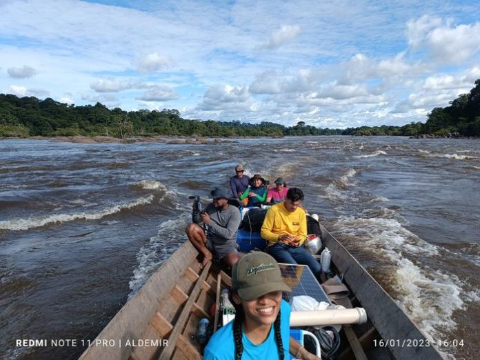 Árboles que cuentan la historia hídrica del río Amazonas