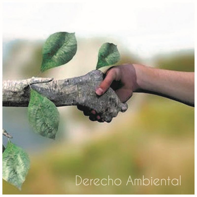 Qué es el Derecho ambiental