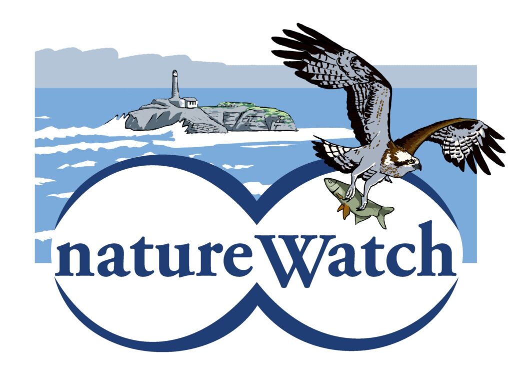 Ecoturismo: NatureWatch Santander 2024