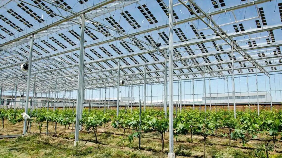 Adiós a los invernaderos y a las fincas: la agricultura se revoluciona ...