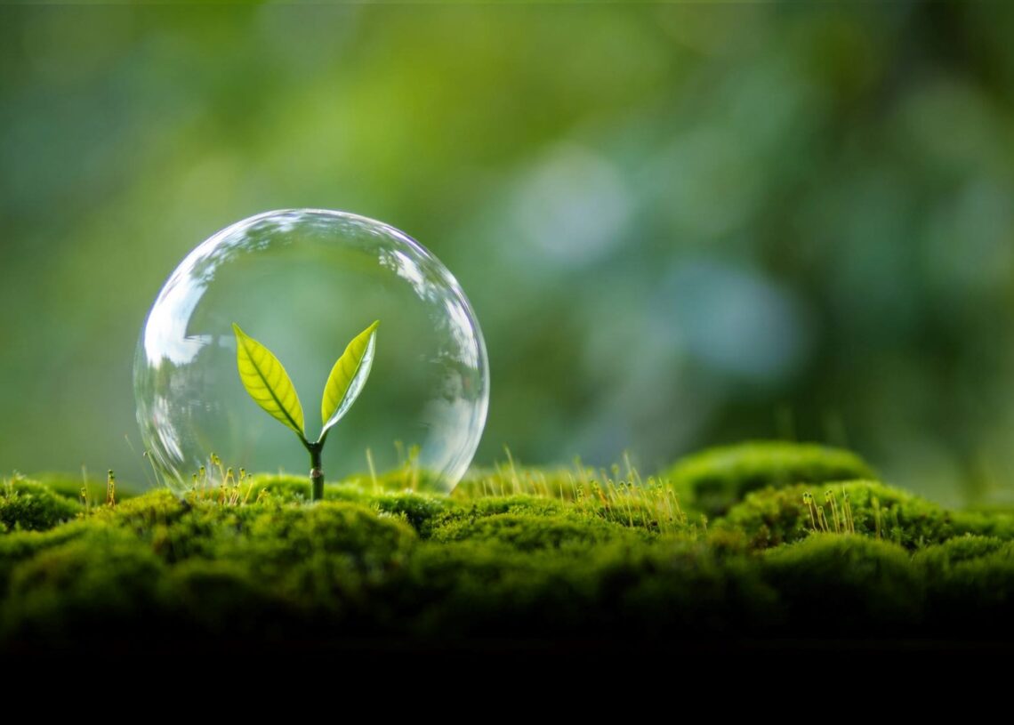 ¿Qué es Greenpeace? Conoce el origen y las 11 principales acciones de ...