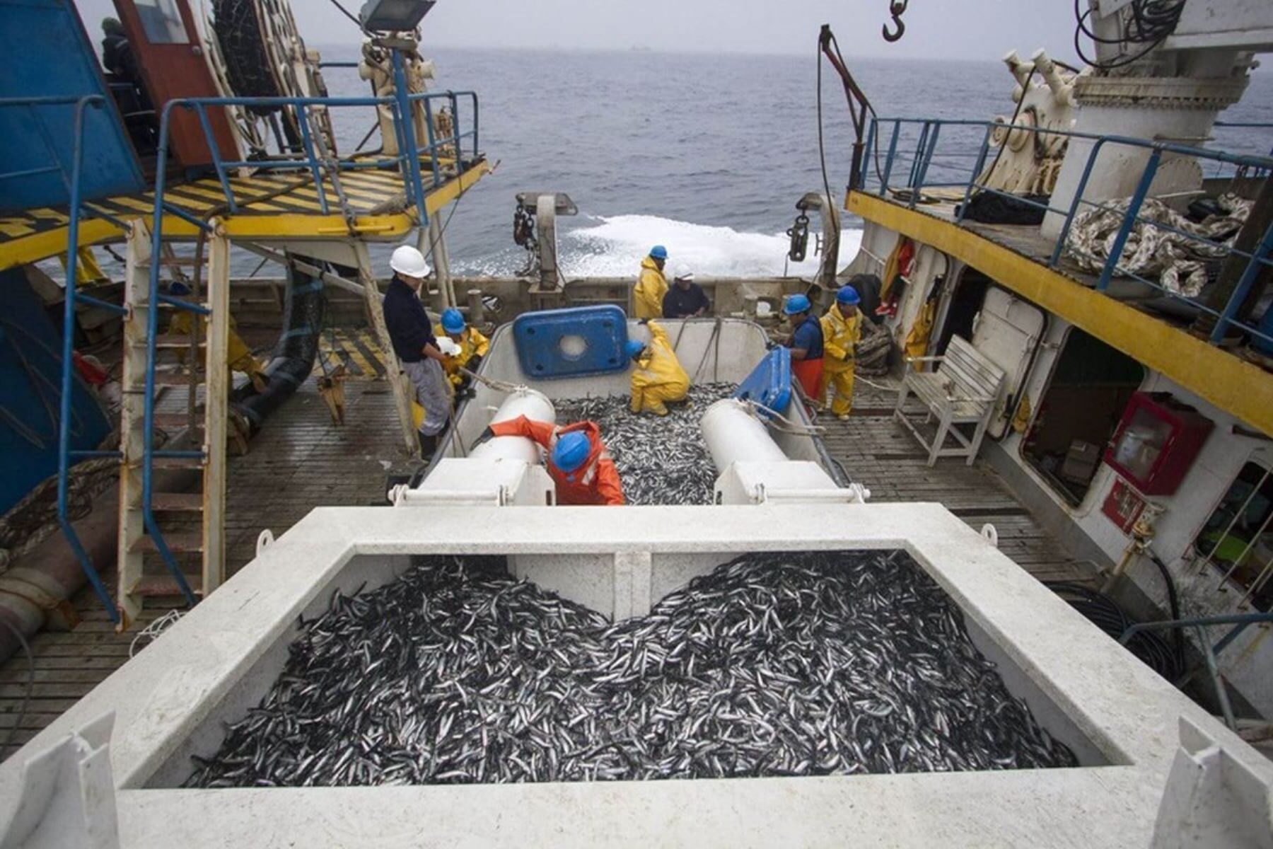 30 científicos marinos 'confirman' lo que es la pesca sostenible y lo ...