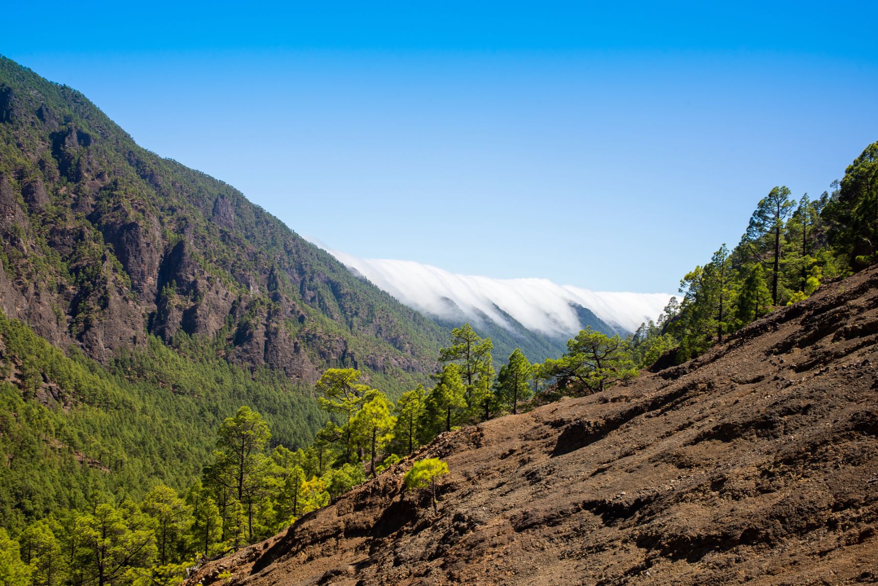 7 décadas del ‘Parque Nacional de La Caldera de Taburiente’
