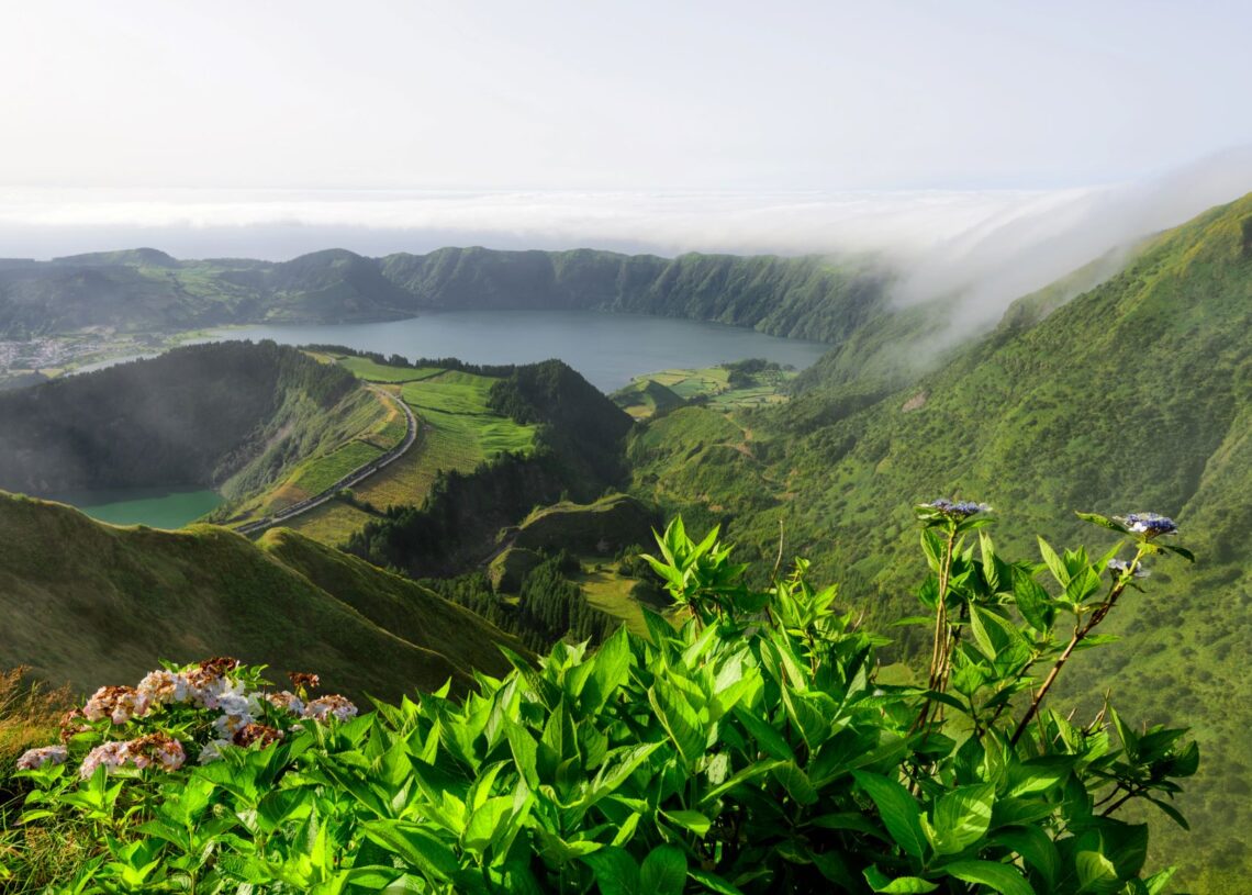 COP15: Acuerdo histórico para la Biodiversidad