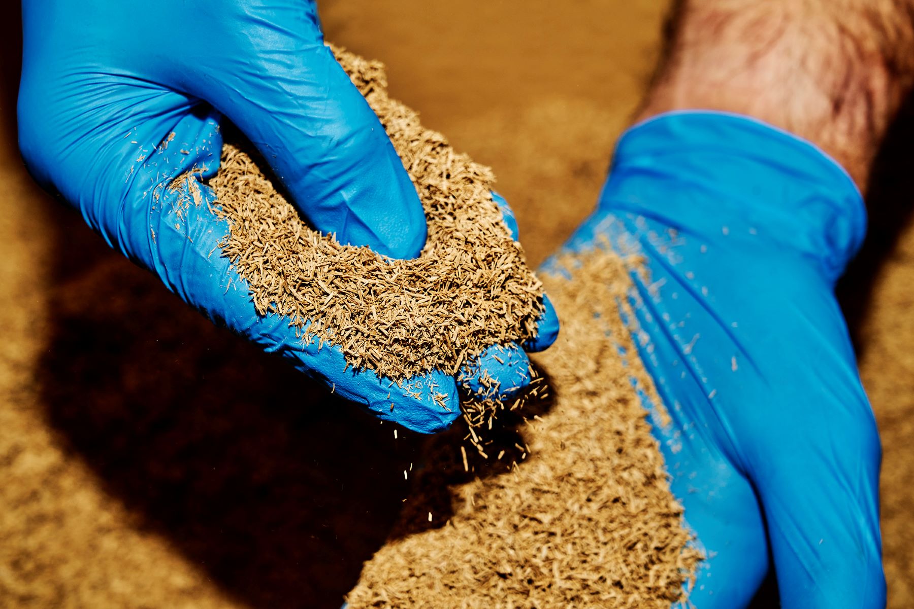 Proyecto Olivoltaica, crean recubrimientos para paneles solares a ...