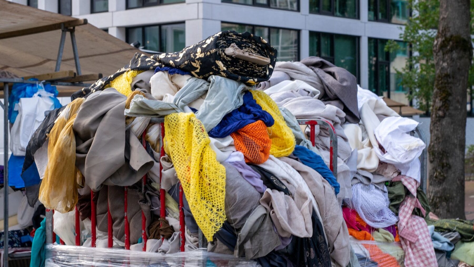 Exigen al Gobierno de España una gestión efectiva y controlada de la ...