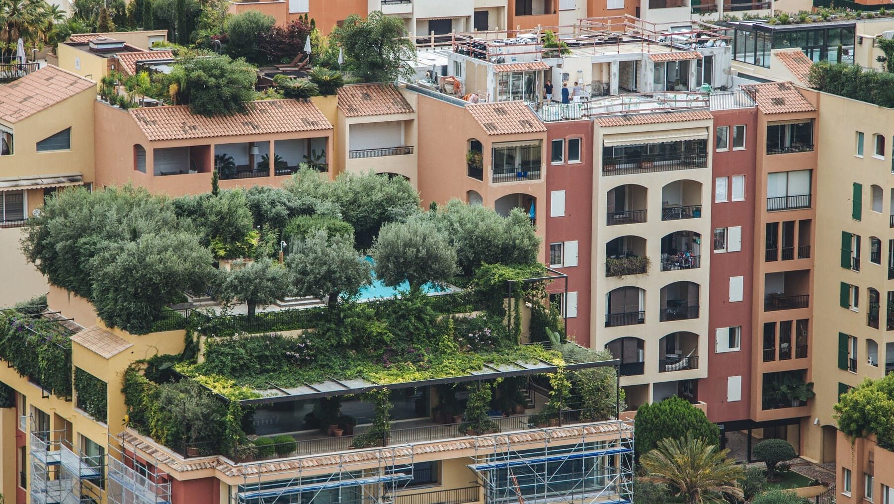 Madrid lanza el ‘Plan de Azoteas Verdes’ en su apuesta por naturalizar ...