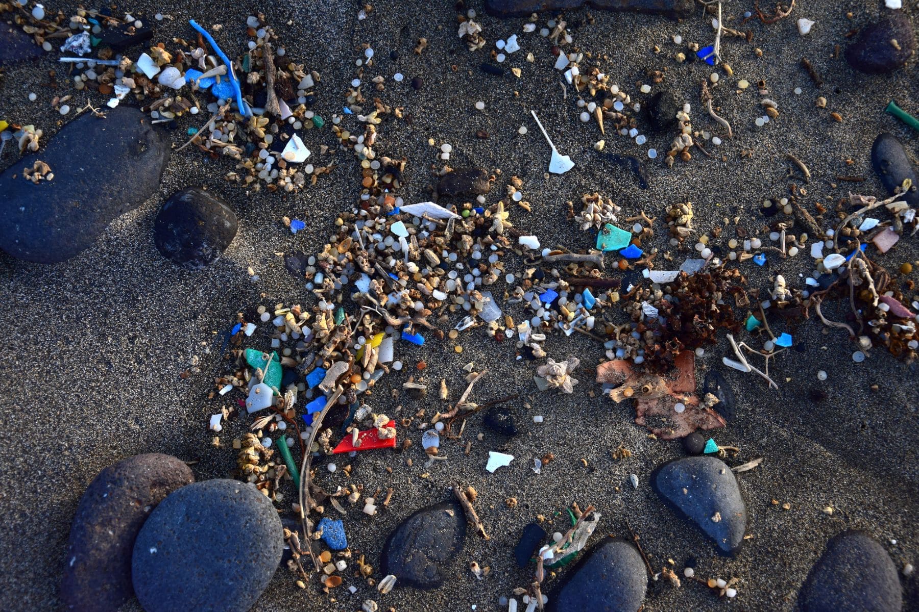 Se podría rebajar en un 6% la contaminación por microplásticos de los ...