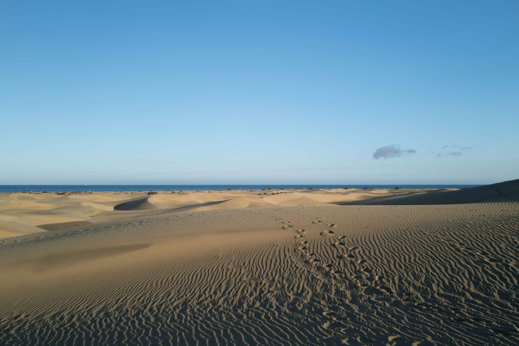Las dunas de playa se forman de manera diferente que las de los desiertos