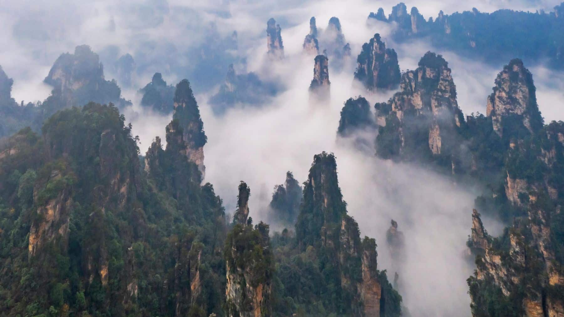 Asia da su mayor esfuerzo para salvar el planeta: 110 millones de ...