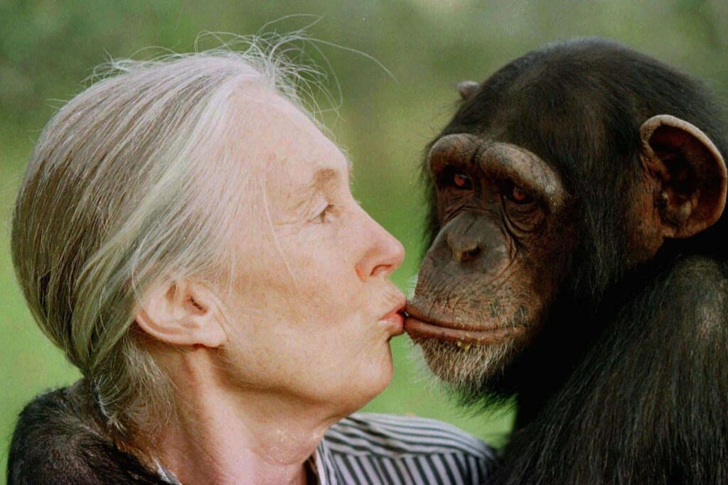 Jane Goodall, la primatóloga por excelencia, nos deja, muere a los 91 años