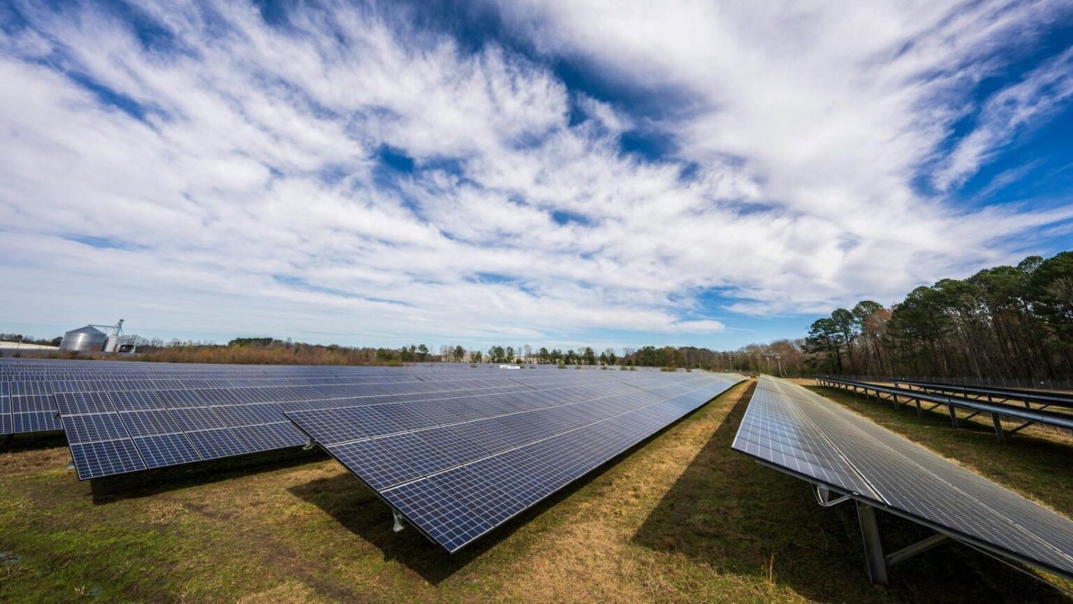 Las plantas fotovoltaicas en Teruel amenazan aves en peligro de extinción
