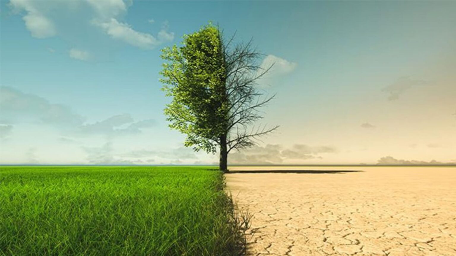 La campaña de concienciación sobre cambio climático del MITECO impulsa ...