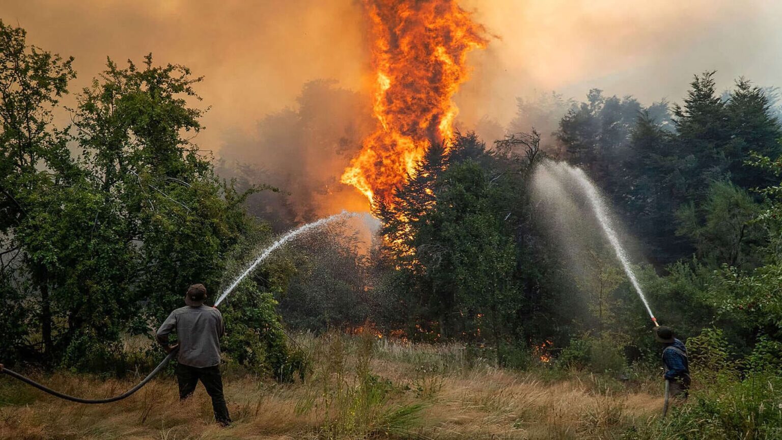 Los incendios forestales en la Patagonia argentina afectan a parques ...