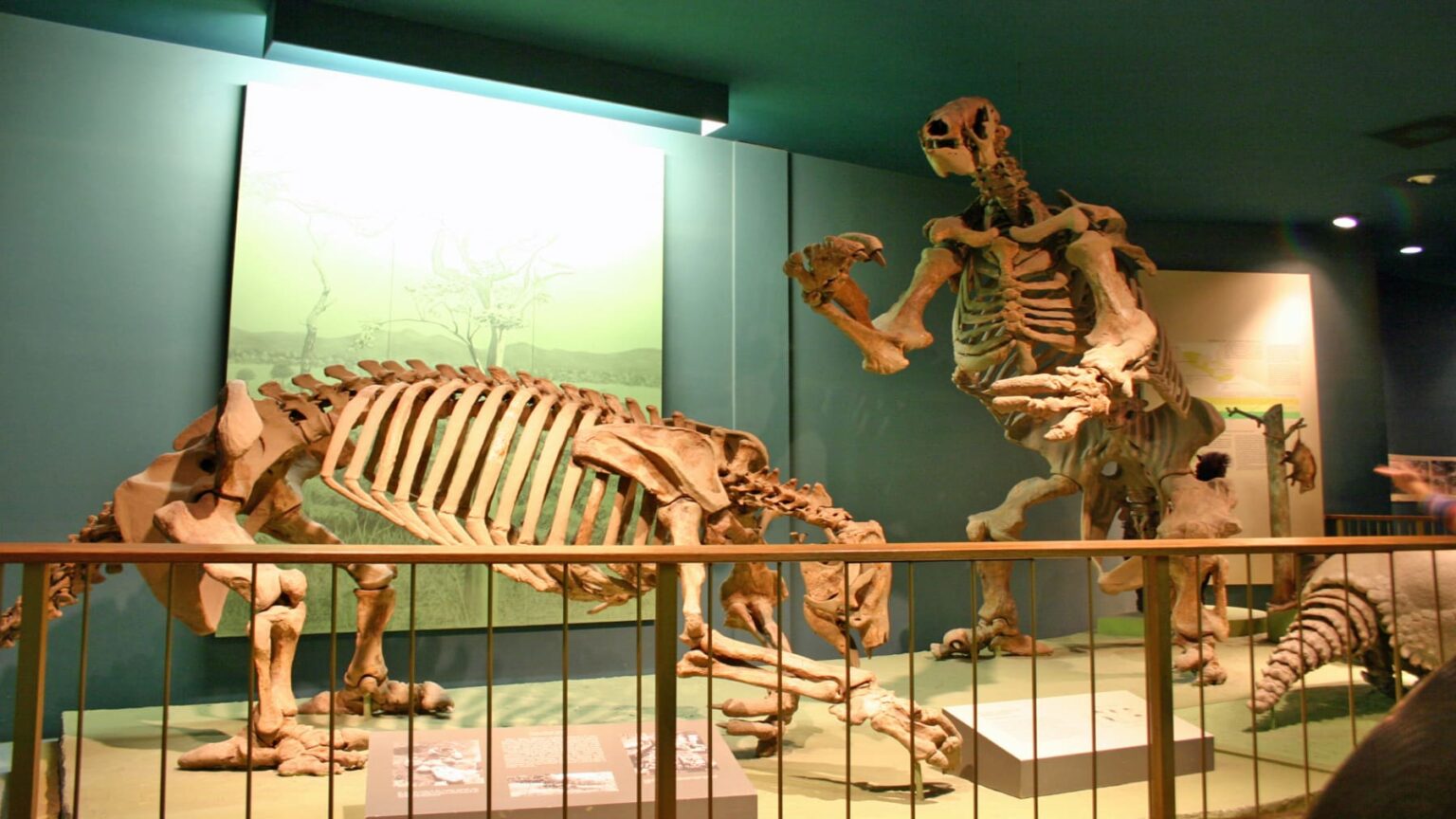 Costa Rica descubre fósiles de perezoso gigante y mastodonte y reactiva ...