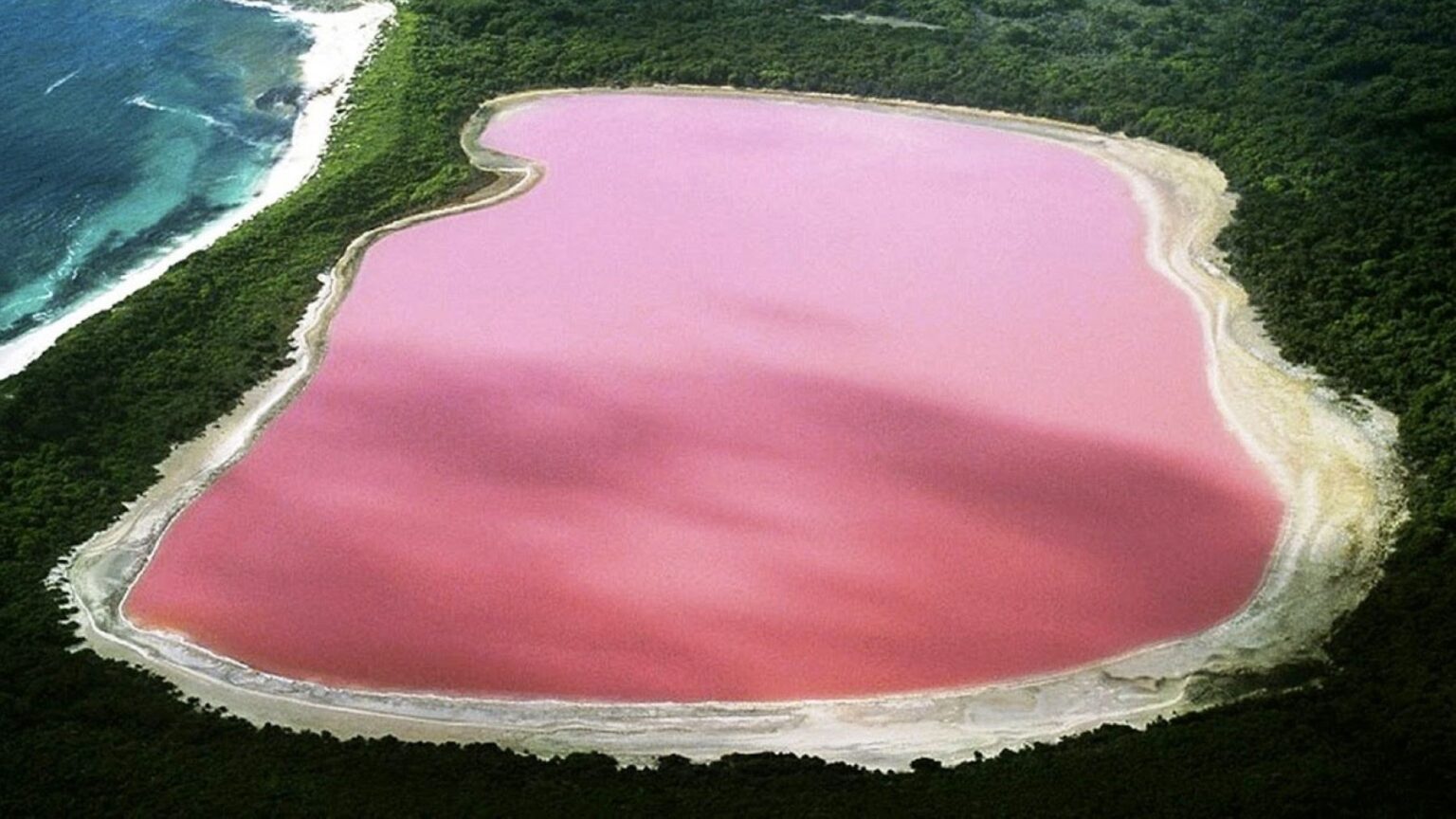 Hormigón o naturaleza: el proyecto Ville Verte amenaza el lago Rosa de ...