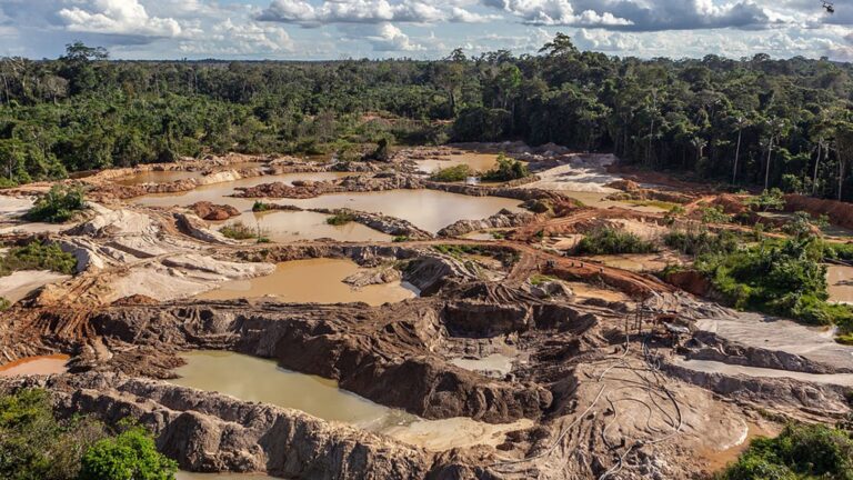 El fraude del oro ilegal en la Amazonía mueve más de 3.300 millones de ...